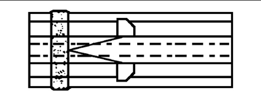 Manual Rail Inspection on the Track
